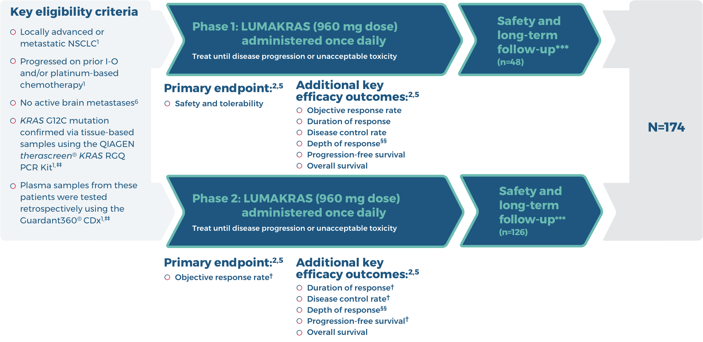 Codebreak 100 Clinical Trial Lumakras® Sotorasib